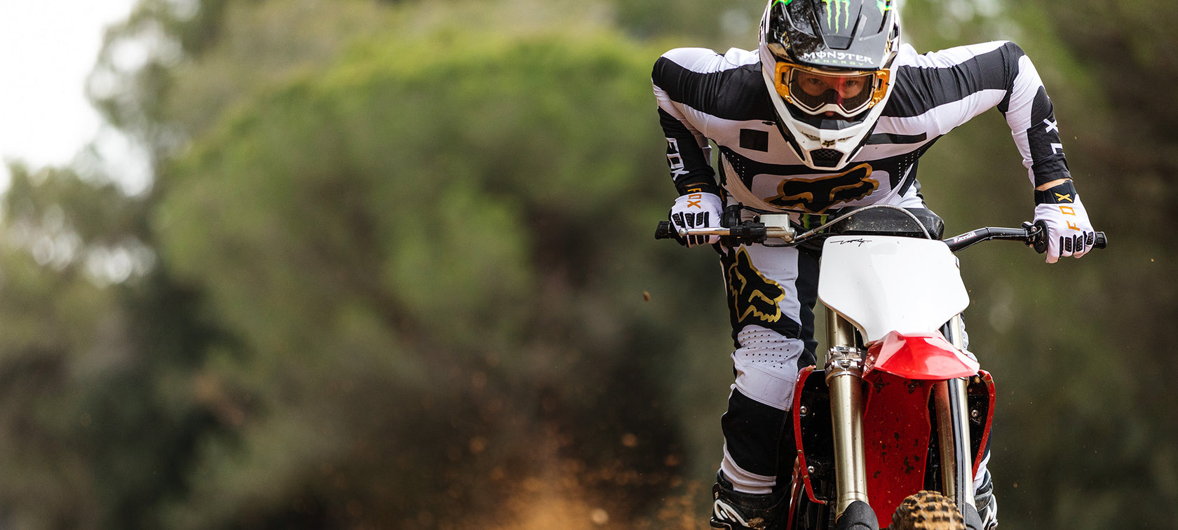 Stark VARG Electric Dirt Bike - Alpha 80hp – Empire Motorcycles